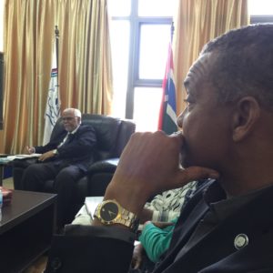 African Renaissance and Diaspora Network